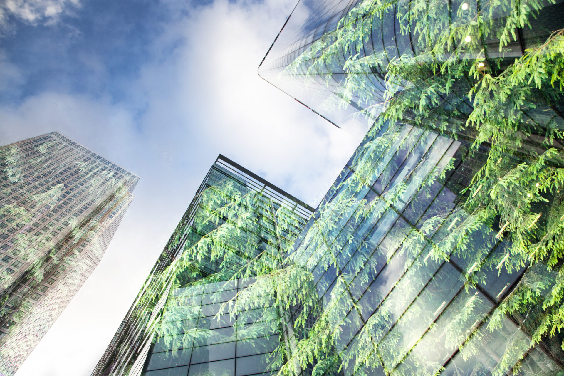 Building performance requirements and standards | DBS Group